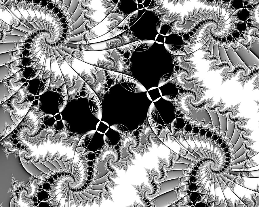 Why Not? Digital Art by Kerry Mitchell - Fine Art America