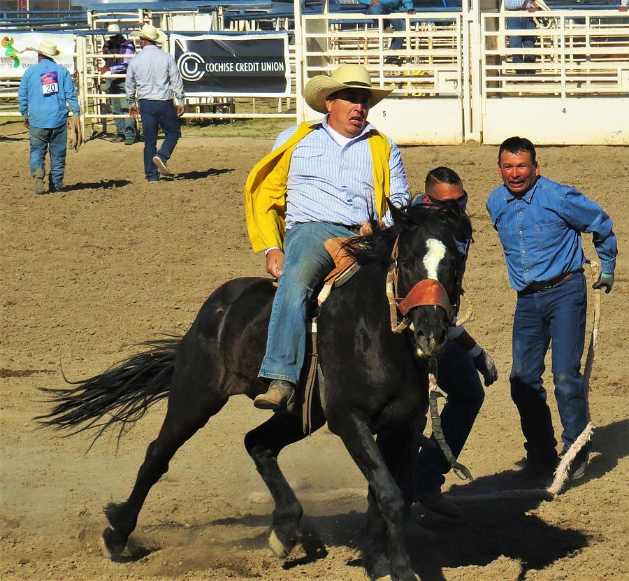 Wild Horse Race Winner Photograph by Frederick Hahn - Fine Art America