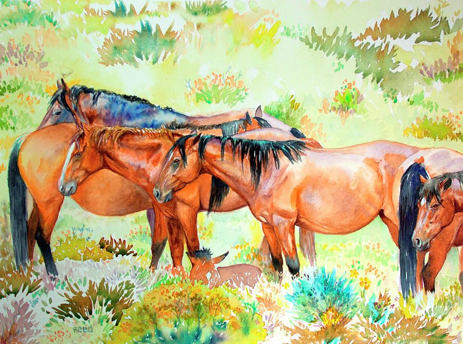 Wild Horses Resting Painting by Robin Reed Masek - Fine Art America