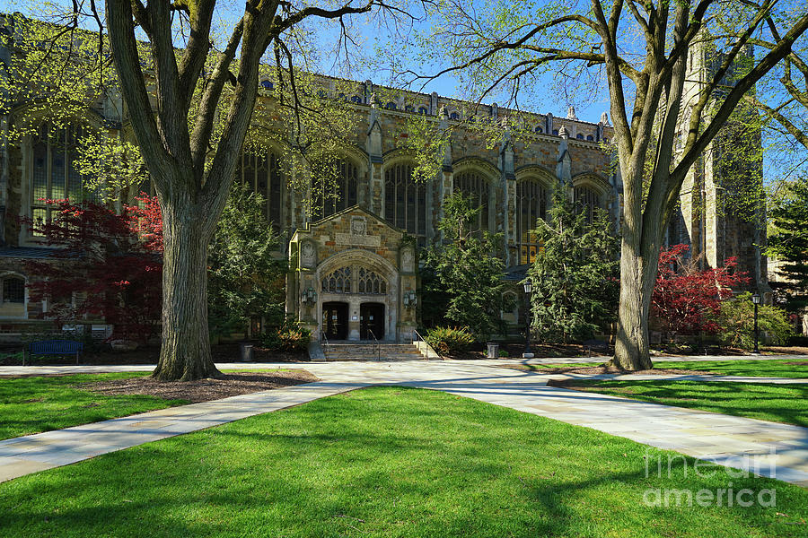 William W Cook Law Research Library 2 Photograph by Rachel Cohen | Fine ...