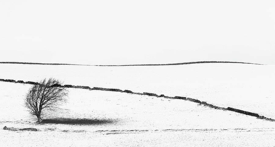 Wind Shadow Photograph by Alan Cooke | Pixels