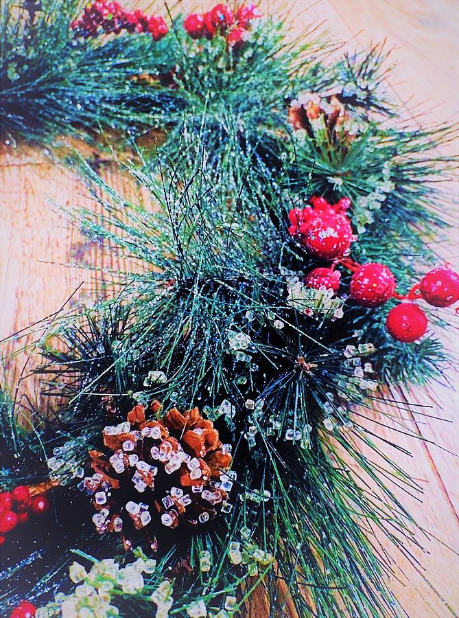 Winter Holiday Traditions Photograph by Elizabeth Pennington - Fine Art ...