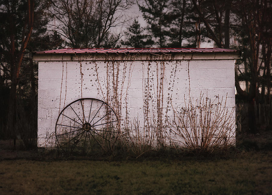 Winter's Harsh Light Photograph by Destiny Fisher - Fine Art America