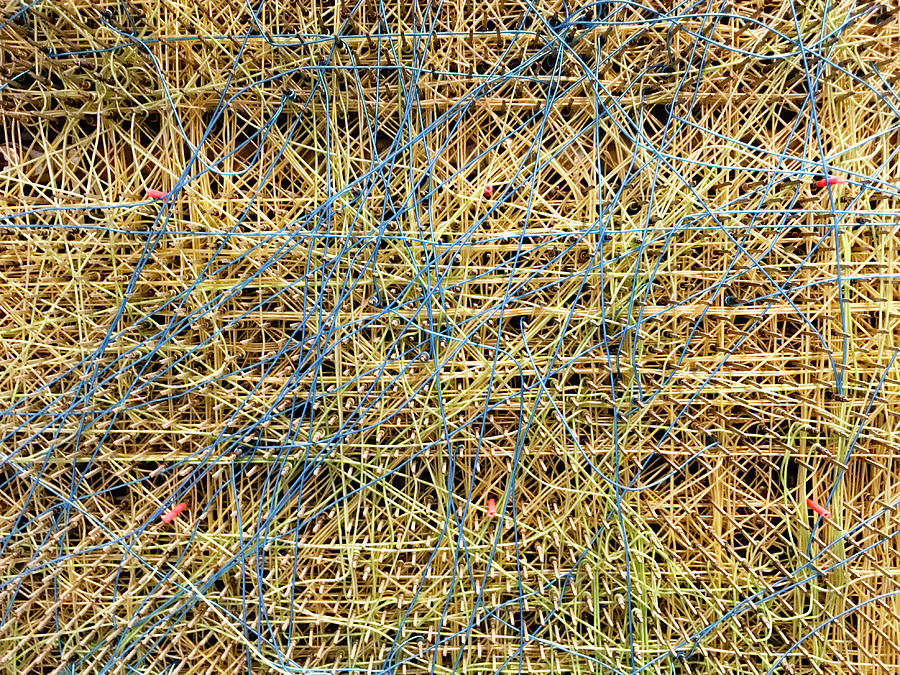 Wire Texture Photograph by Joseph Skompski - Fine Art America