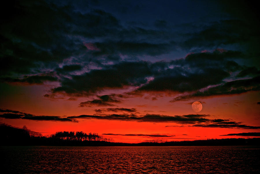 Wolf Moon Photograph by Joe Mullens - Pixels