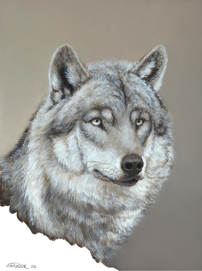 Wolf portrait Painting by Radoslav Pavlik - Fine Art America