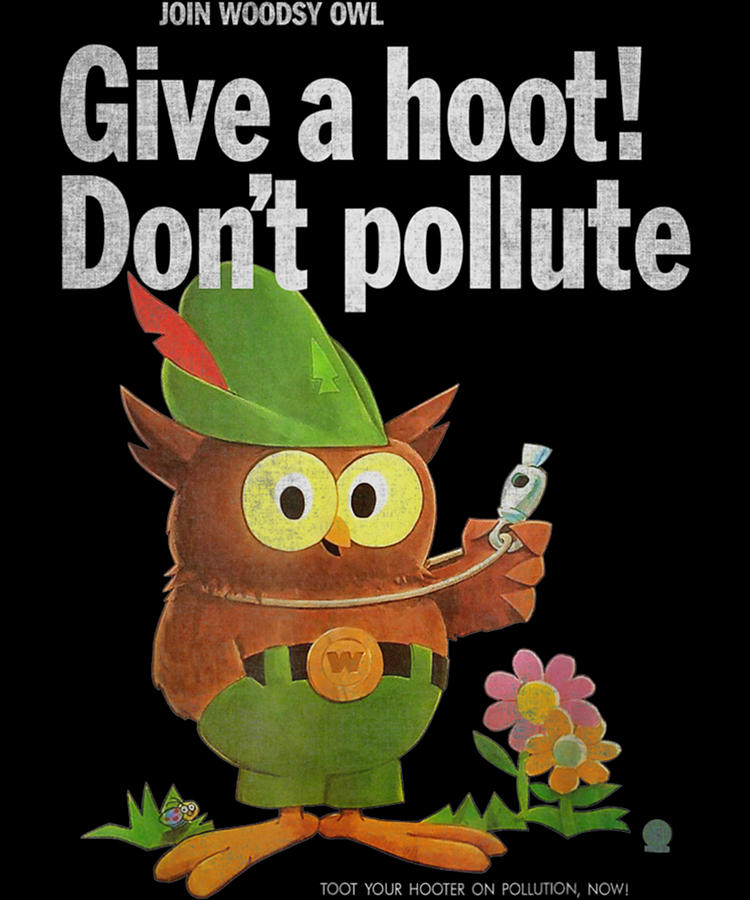 Woodsy Owl Give a Hoot 70s Distressed and Faded Essential T-Shirt Pyrography by Arthur Legros ...