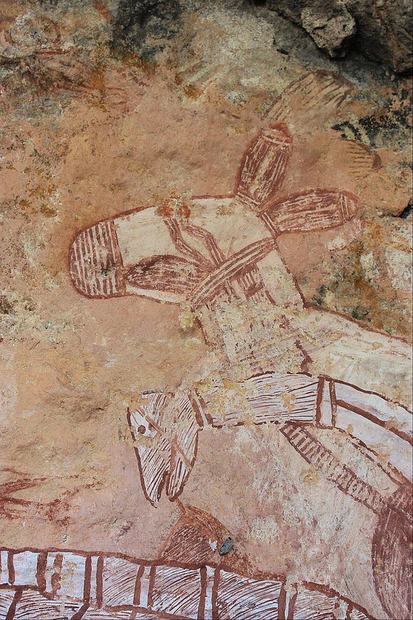 X ray kangaroo Photograph by Paul Fearn - Pixels