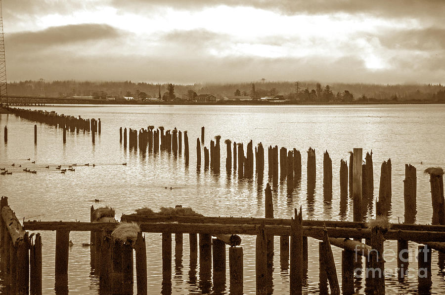 Youngs Bay Crossing Pilings Sepia 2021 Photograph By Michael Ziegler