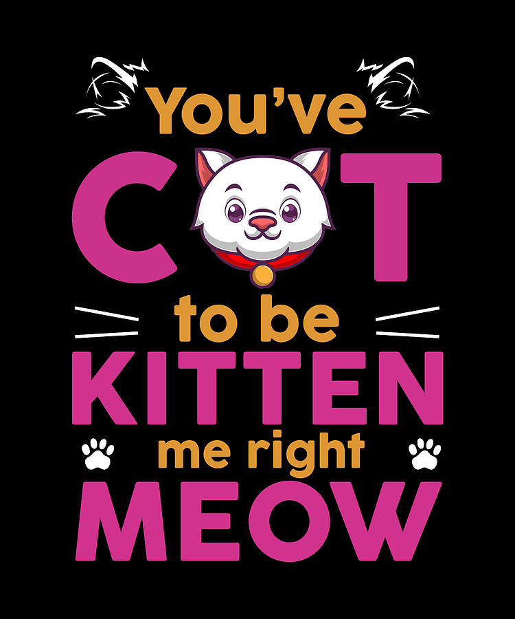 You've Cat To Be Kitten Me Right Digital Art by Alberto Rodriguez - Fine Art America