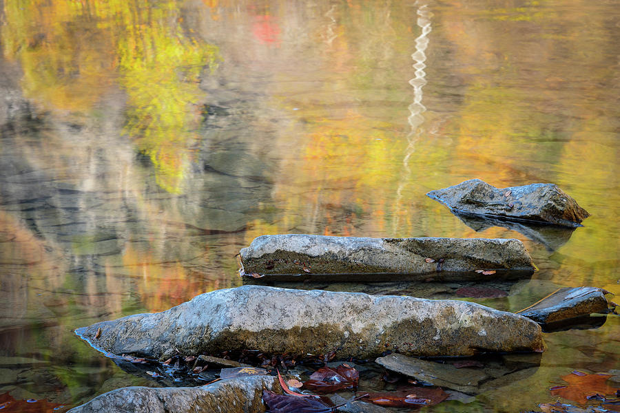 Zen Reflection Photograph by David Soderlund - Fine Art America